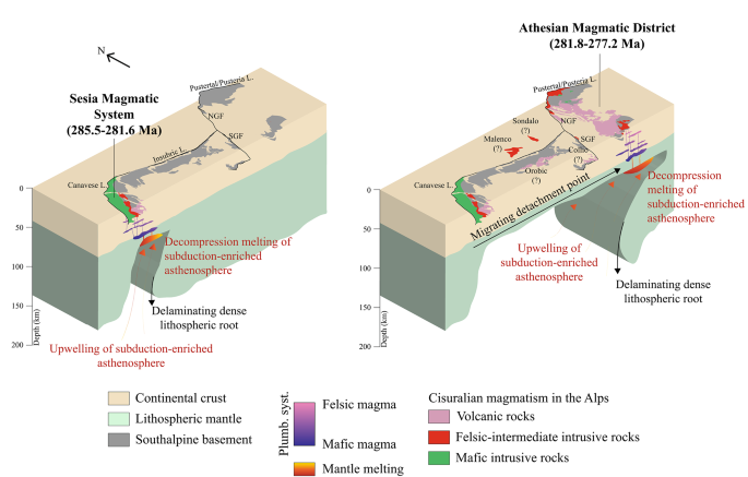 Early Permian post-collisional magmatism induced by extensive removal ...