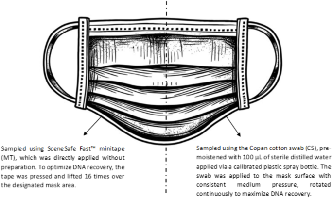 Enhancing trace DNA recovery from disposable face masks: insights from ...
