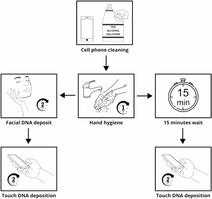 Impact of face-derived DNA on touch DNA deposition on cell phone ...