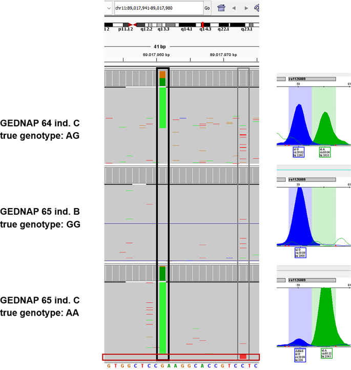 Technical reliability of genotyping SNPs for forensic DNA phenotyping ...