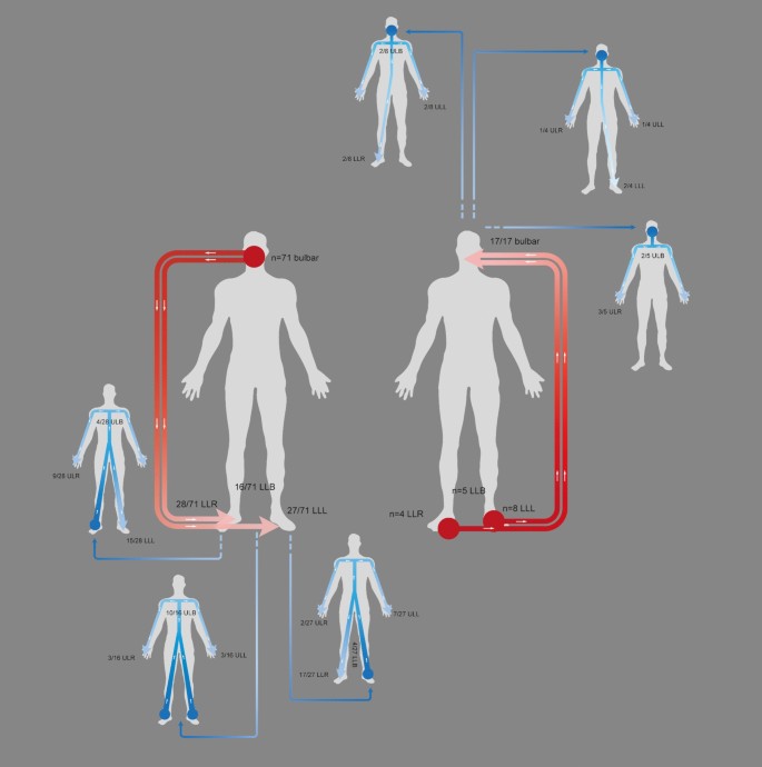 Clinical spreading of muscle weakness in amyotrophic lateral sclerosis ...