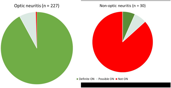 Diagnostic criteria for optic neuritis in the acute and subacute phase ...