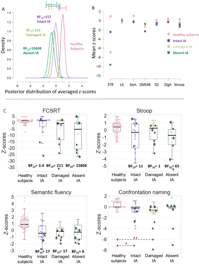 Exploring the impact of the interthalamic adhesion on human cognition ...