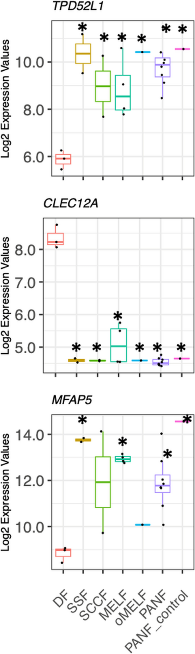 Gamma smooth muscle actin as a new potential marker of cancer ...