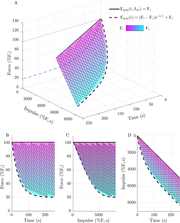 Testing the predictive capacity of a muscle fatigue model on ...