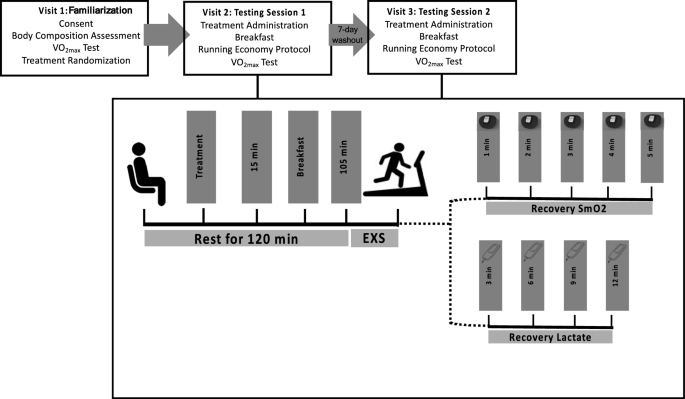 Effects of a single dose of a betalain-rich concentrate on determinants ...