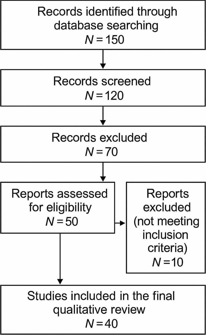 Callosomarginal artery: an in-depth of anatomical characteristics ...