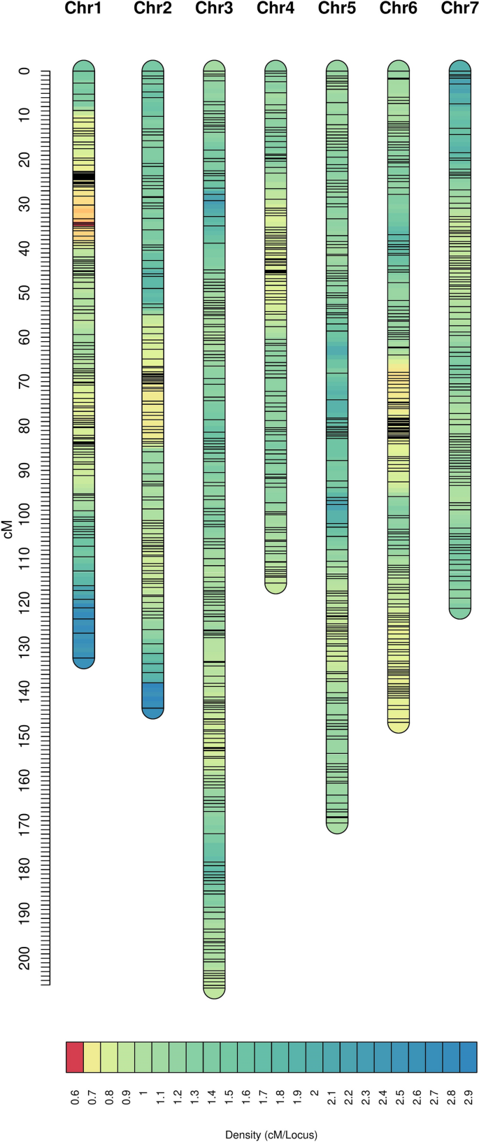 Consensus genetic linkage map and QTL mapping allow to capture the genomic regions associated ...
