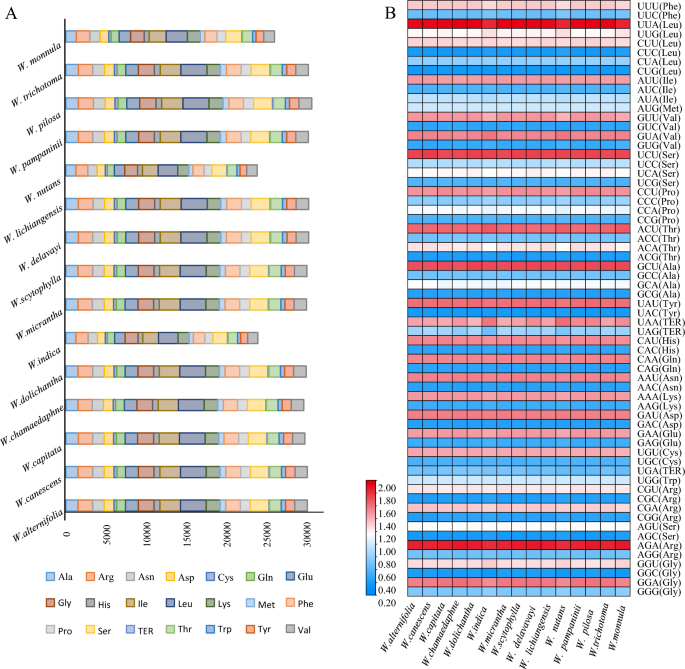 Comparative analysis of the complete chloroplast genome of seven ...
