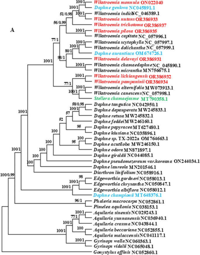 Comparative analysis of the complete chloroplast genome of seven ...