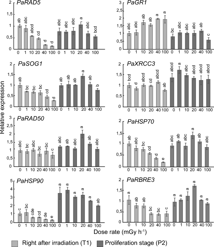 Gamma radiation-induced molecular toxicity and effects on pluripotent ...