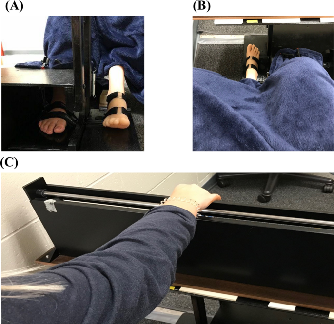 The effect of long-term specialized motor experience of the lower limbs ...
