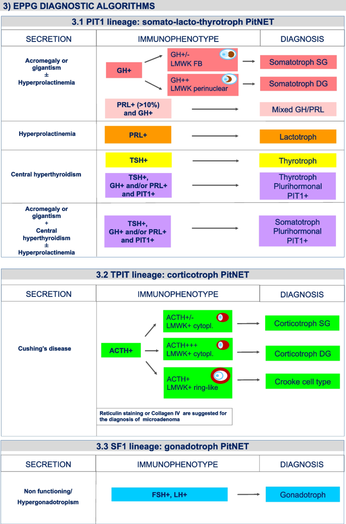 PIT-EASY survey: validation of the European Pituitary Pathology Group ...