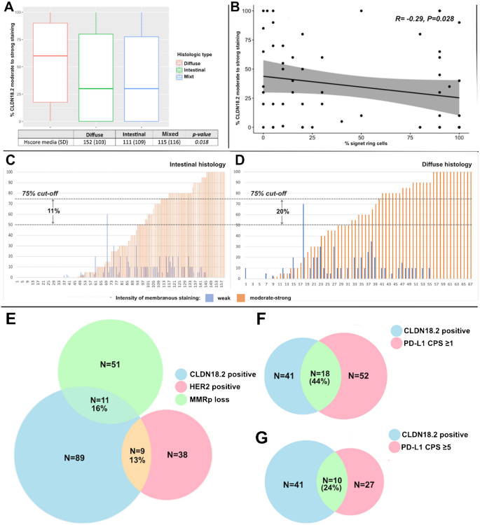 CLDN18.2 expression in gastroesophageal adenocarcinoma: prevalence ...