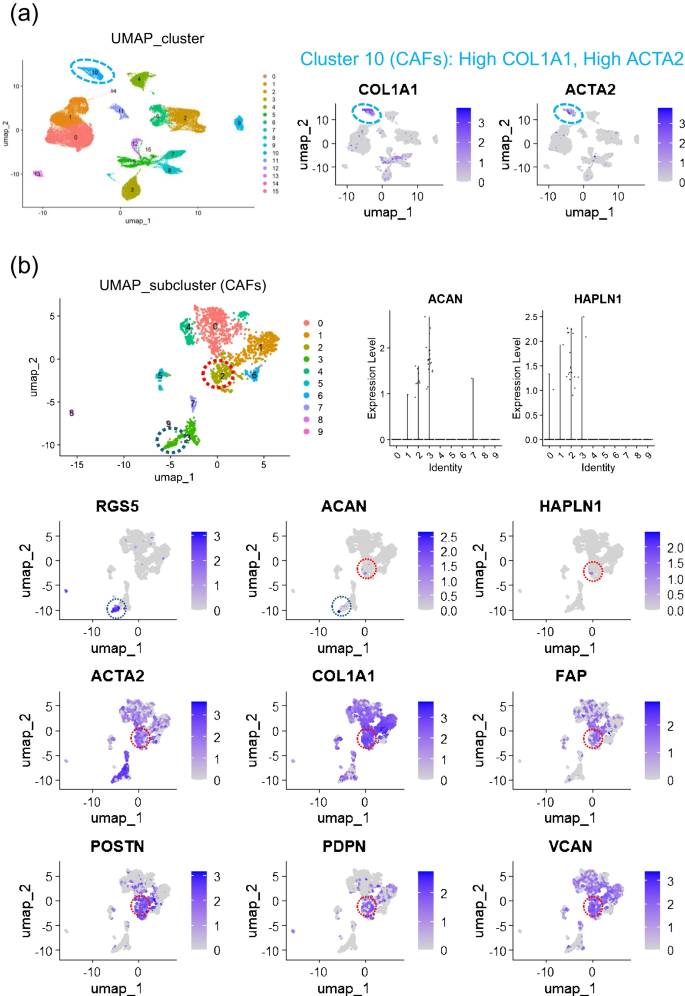 Cancer-associated fibroblast marker signatures and stromal composition ...