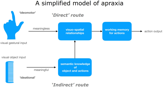 A preliminary study of white matter disconnections underlying deficits ...