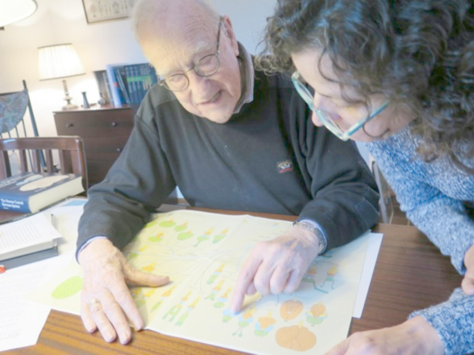 Fascinated by brain evolution | Brain Structure and Function