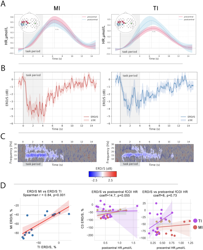 Sensorimotor event-related desynchronization and hemodynamic responses ...