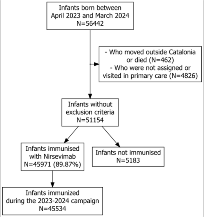 Impact of nirsevimab immunoprophylaxis on respiratory syncytial virus ...