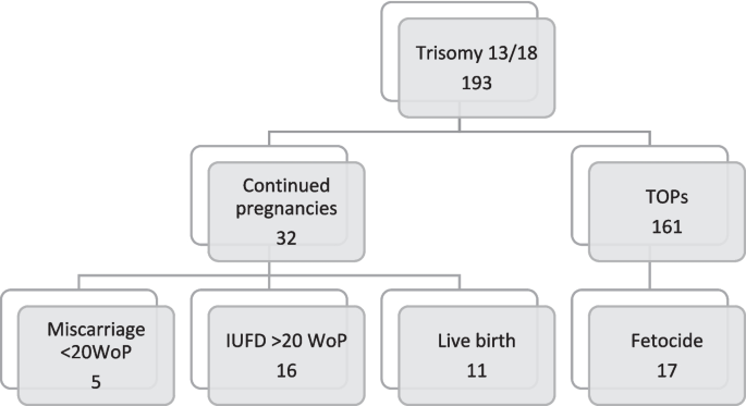 Clinical course and perinatal management of fetuses and newborns ...
