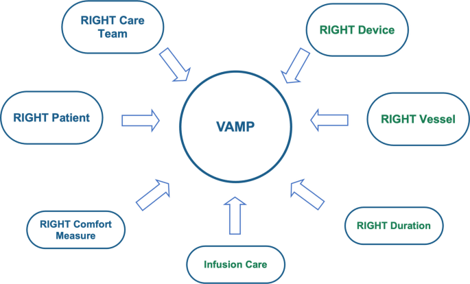 Vascular access in the newborn: a position paper of Neonatal European ...