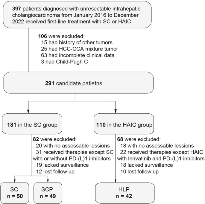 First-line hepatic arterial infusion chemotherapy plus lenvatinib and PD-(L)1 inhibitors versus ...