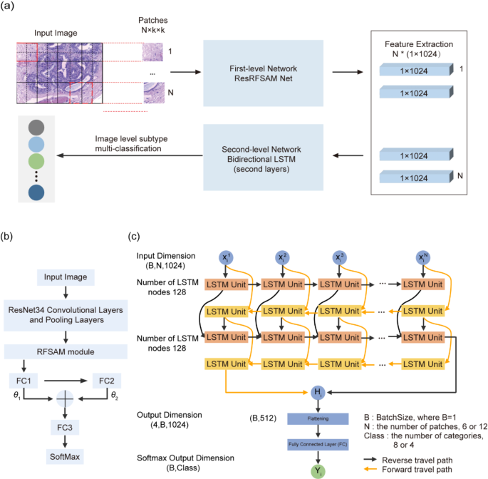 Multi-classification of breast cancer pathology images based on a two ...