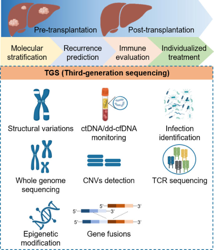 Precision medicine in liver transplantation for hepatocellular ...