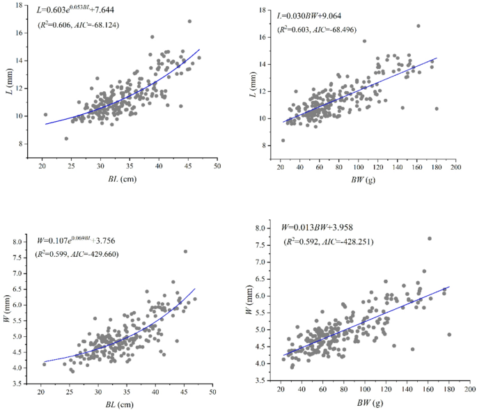 Otolith morphometry reveals growth characteristics and population ...
