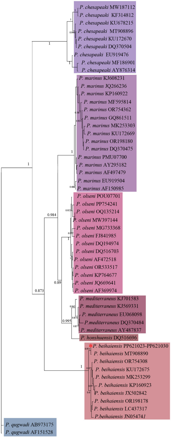 Survey on Perkinsus species in two economic mussels (Mytilus coruscus ...