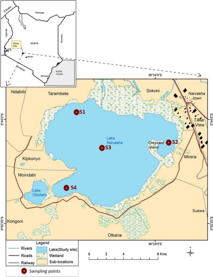 Endohelminth diversity in the invasive Clarias gariepinus (Burchell ...