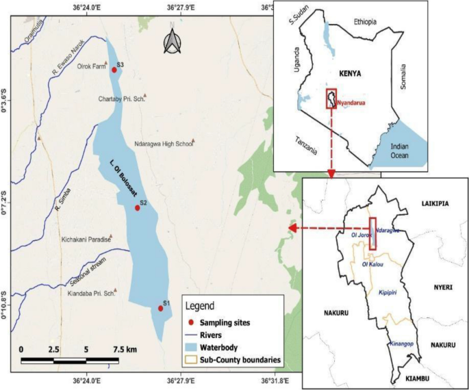 Endohelminth diversity in the invasive Clarias gariepinus (Burchell ...