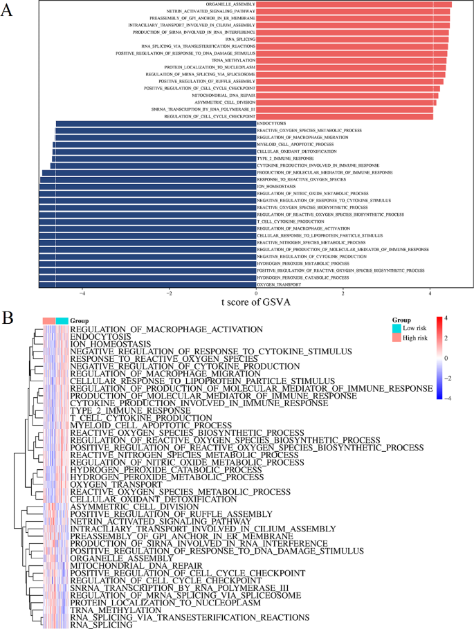 Transcriptomic analysis reveals oxidative stress-related signature and ...