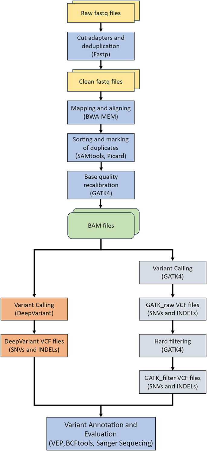 Performance comparison of germline variant calling tools in sporadic ...