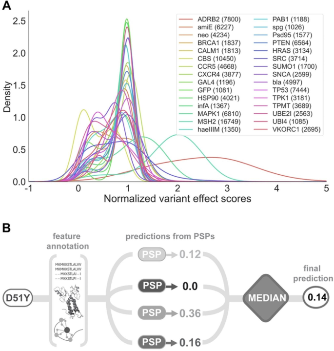 QAFI: a novel method for quantitative estimation of missense variant ...