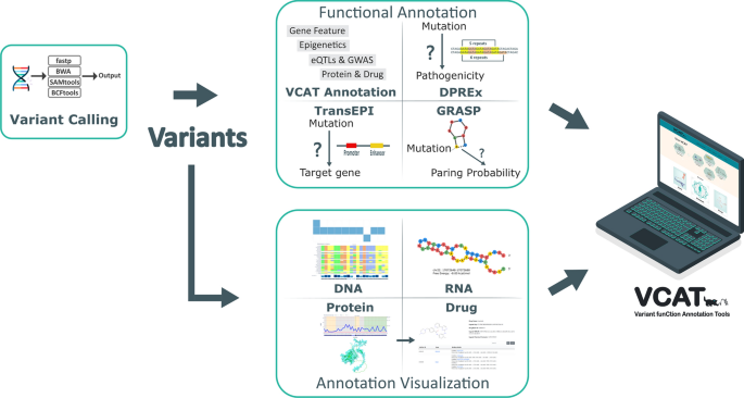 VCAT: an integrated variant function annotation tools | Human Genetics
