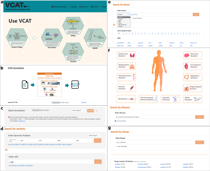 VCAT: an integrated variant function annotation tools | Human Genetics