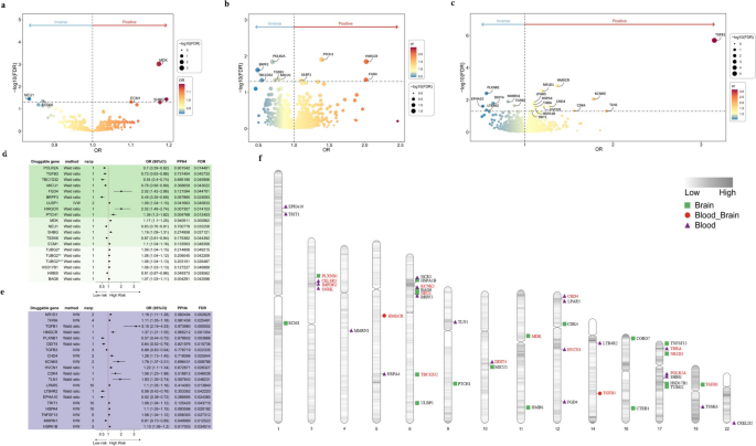 Conventional and genetic association between migraine and stroke with ...