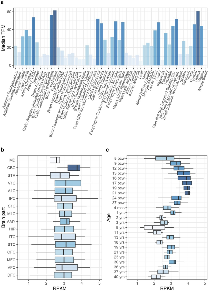 Molecular features of AHDC1: insights into an overlooked gene with ...