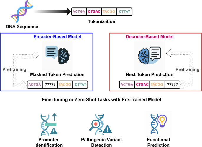 Regulating genome language models: navigating policy challenges at the ...