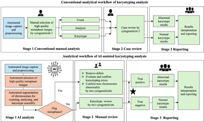 Clinical validation of artificial intelligence-assisted karyotyping on ...