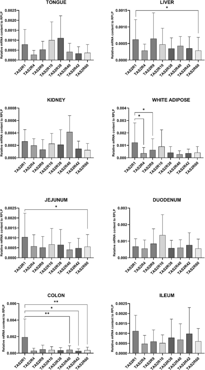 Extra-oral expression of bitter taste receptors in pigs and their ...