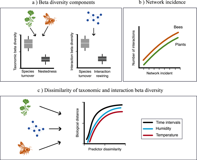 Temporal decay of similarity in bee-plant relationships throughout the ...