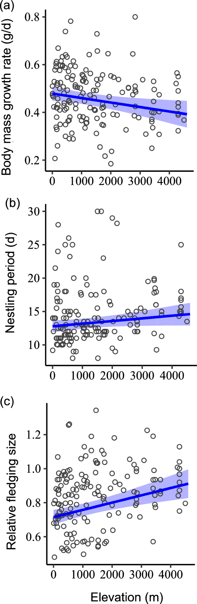 High-elevation birds grow more slowly but to heavier weights than low ...