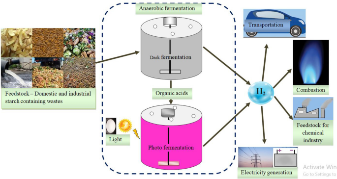 Molecular biohydrogen production by dark and photo fermentation from ...