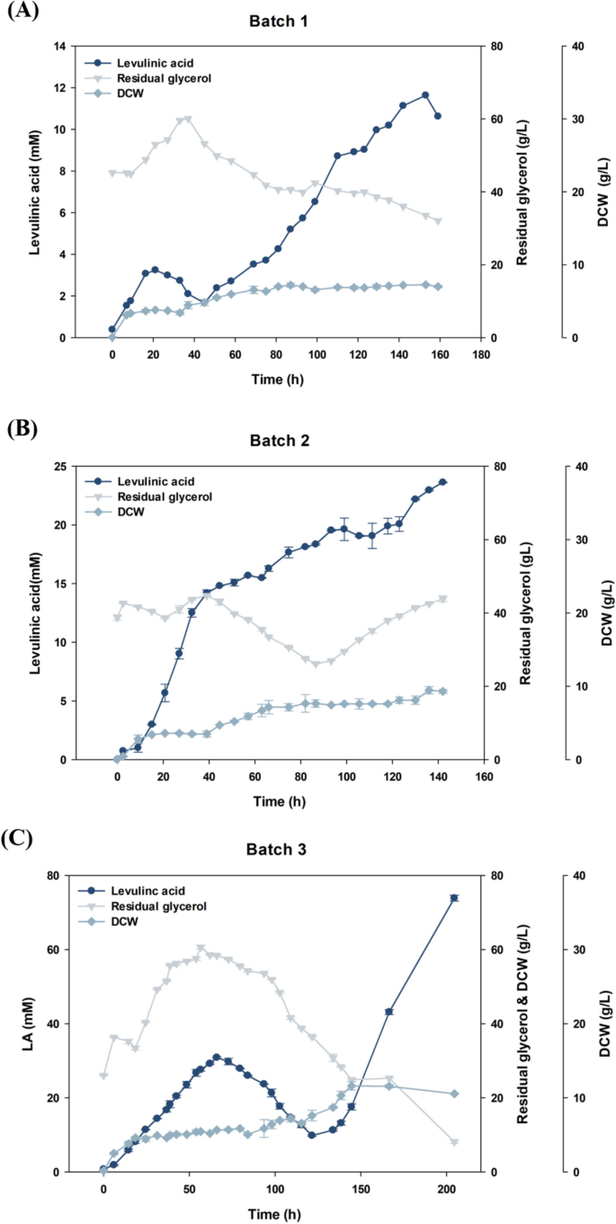 Enhanced production of microbial levulinic acid through deletion of the ...