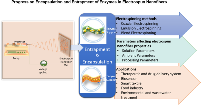 Progress on encapsulation and entrapment of enzymes in electrospun ...