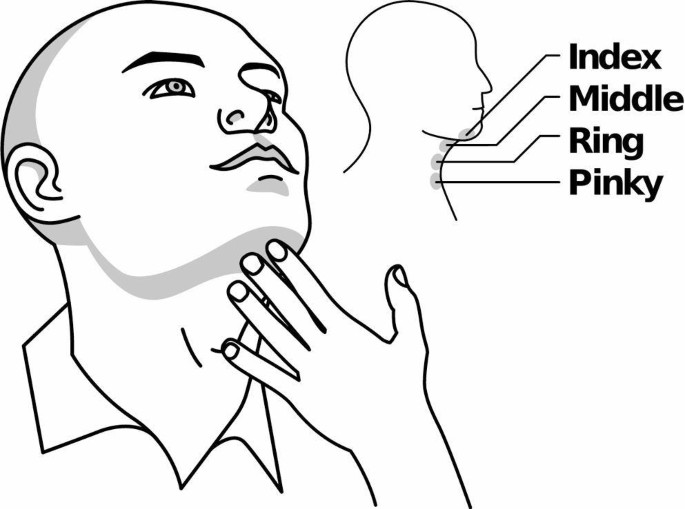 Palpation as a Method To Predict Spatial Instrumental Hyolaryngeal ...