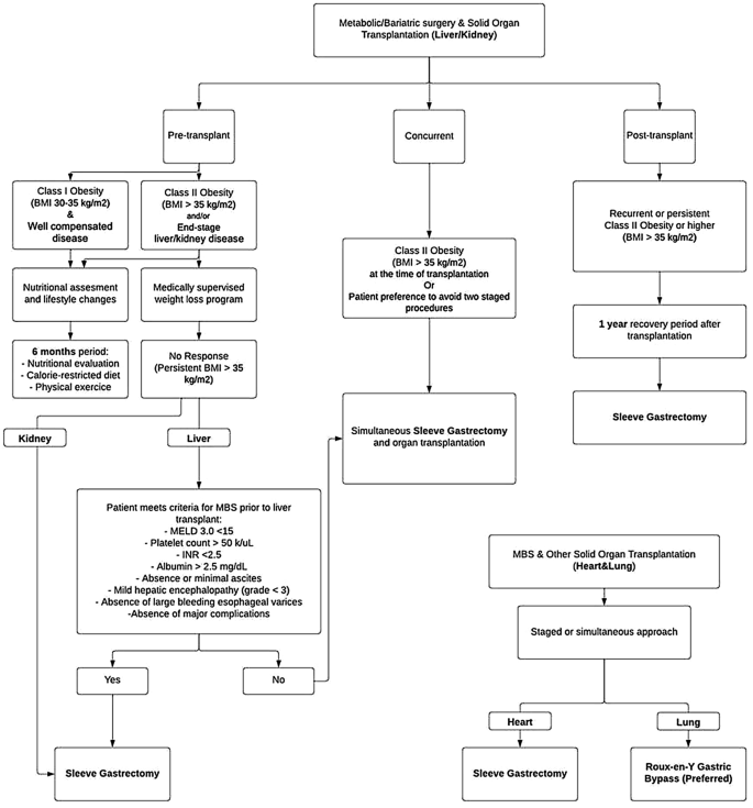 Obesity, organ failure, and transplantation: a review of the role of ...