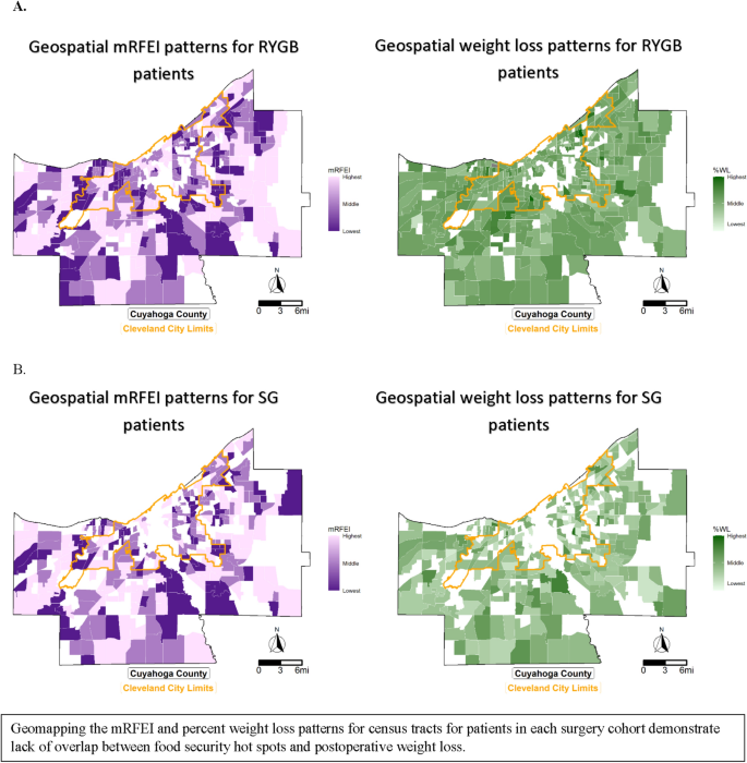 Association between geospatial disparities in food security with weight ...